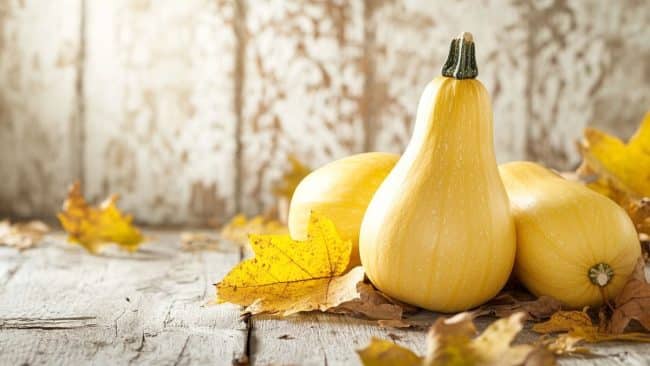 Recette de courge bleu de Hongrie : délicieuse et simple à préparer